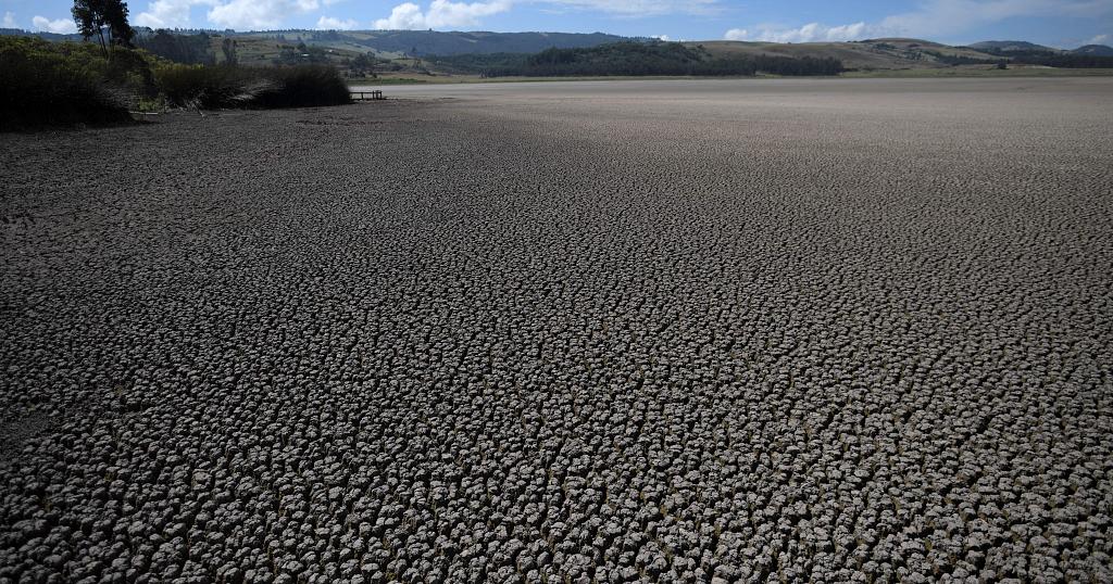 World marks Desertification and Drought Day » Africa Global Village