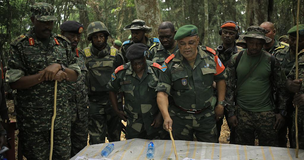 DRC forces launch offensive against ADF forces in eastern Congo ...
