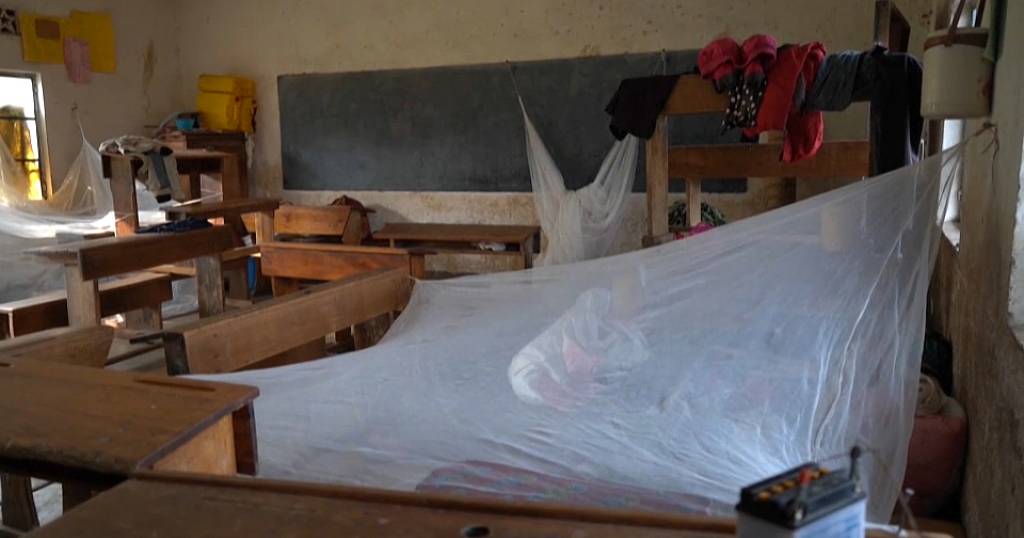 DRC: Occupation of schools by displaced persons disrupts start of the ...