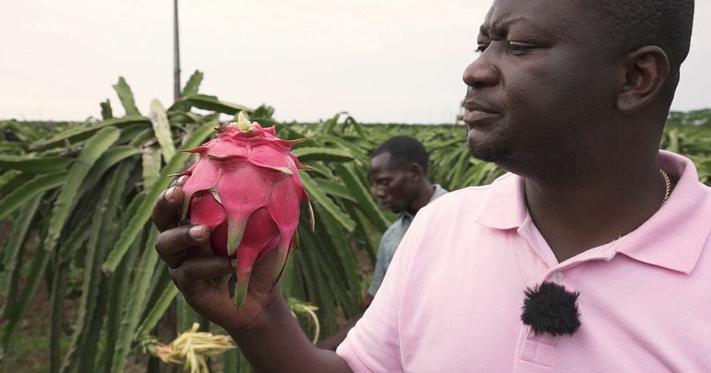 A diamond in the rough: Angola’s vast and growing potential as a fruit ...