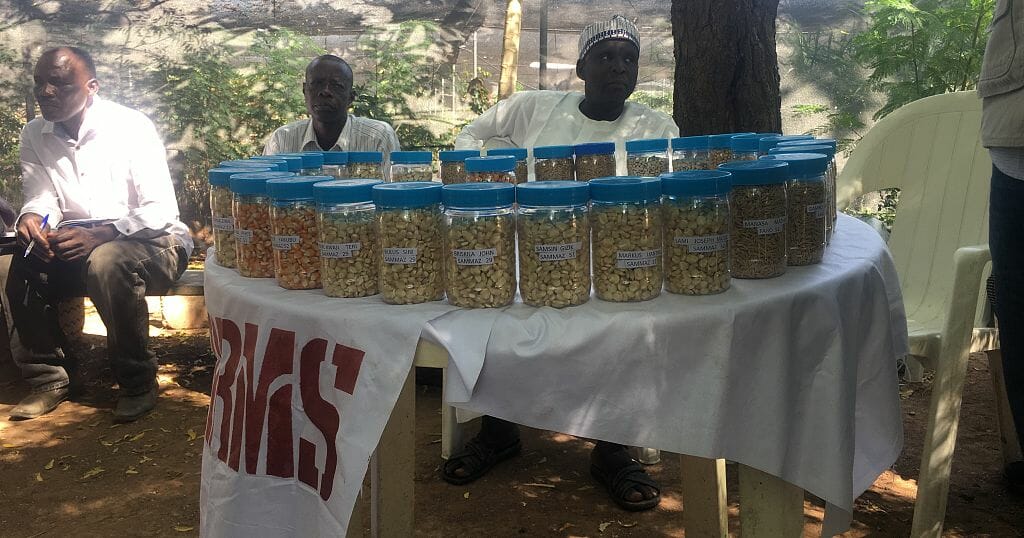 Humanitarian groups aim to provide hope for vulnerable rural Nigerians ...