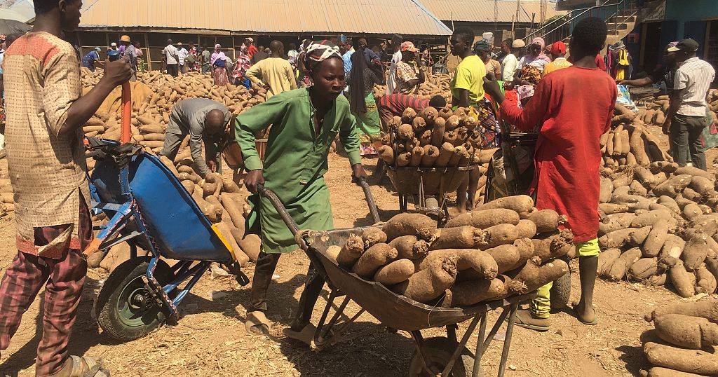Nigeria is leading producer of yam but export less – Africa Global Village