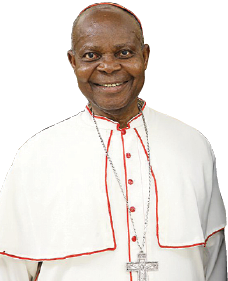 Nigerian Catholic Cardinals whose impact speaks for them – Africa ...